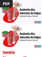 Anatomia Orientada para A Clínica - Moore | PDF