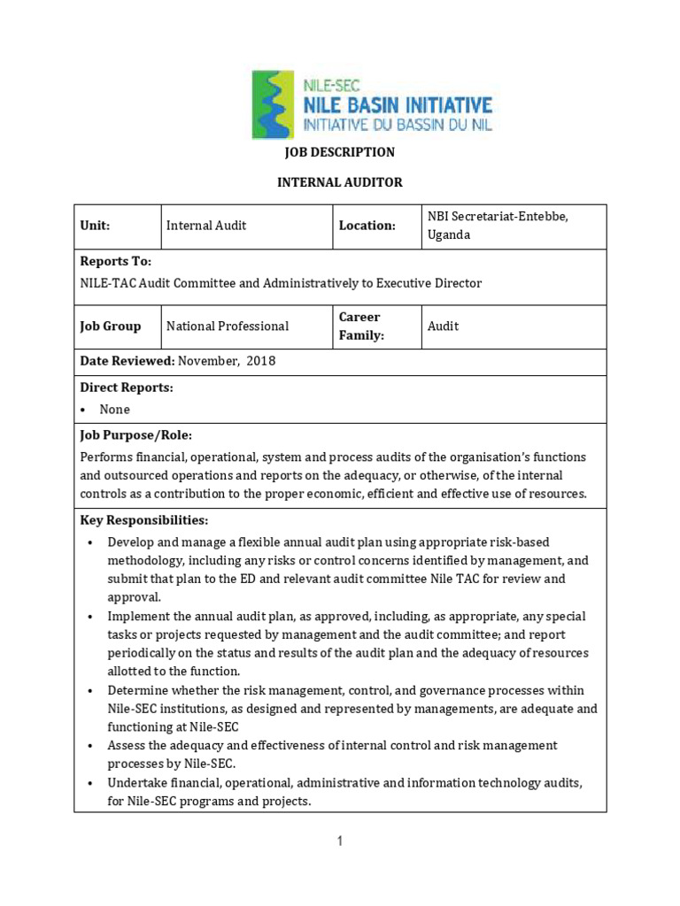 JD - Internal Auditor | PDF