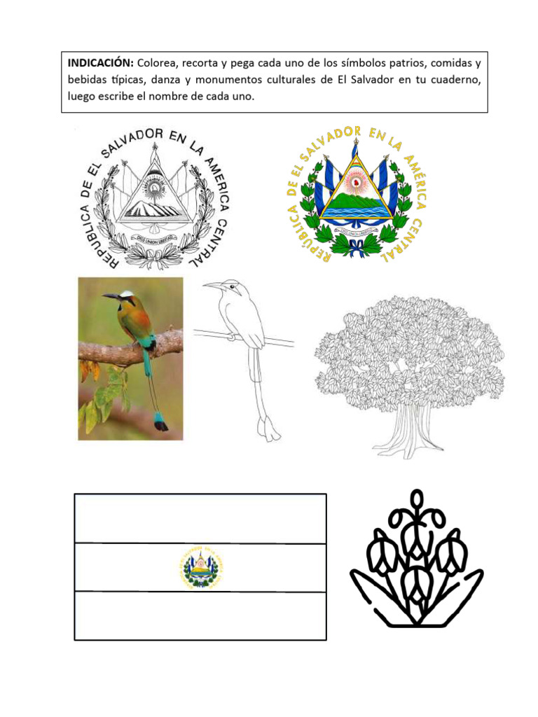 Fichas S 30 de Simbolos de El Salvador | PDF