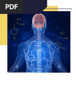 Regjistri I Gjendjes Civile 2018 Download | PDF