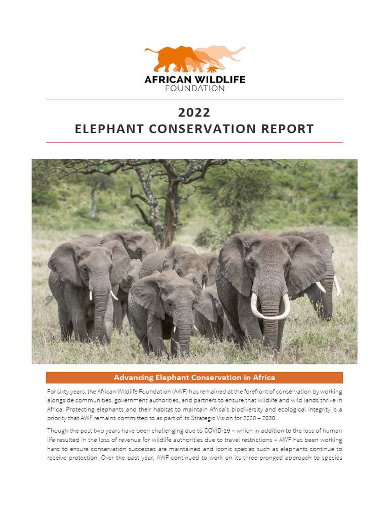 2022 Elephant Conservation Progress Report | PDF | Poaching | Crime ...