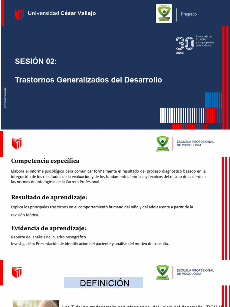 Diapositivas TGD | PDF