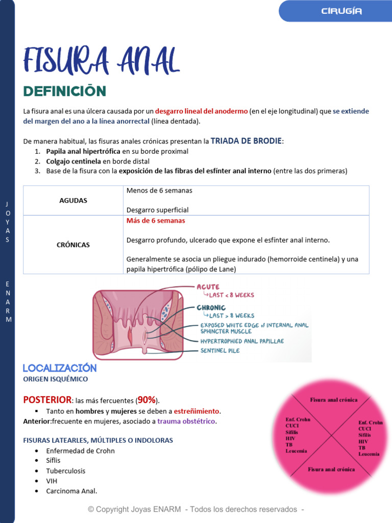 Fisura Anal | PDF | Hemorroides | Gastroenterología