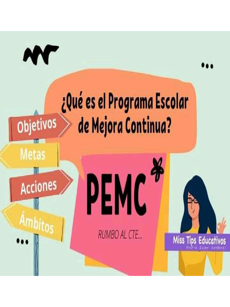 ¿Que es PEMC | PDF