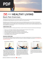 Back Pain Pamphlet | PDF | Vertebral Column | Back Pain