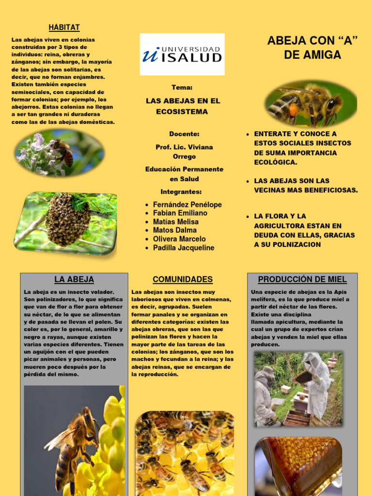 Triptico Abeja Mi Amiga6 | PDF