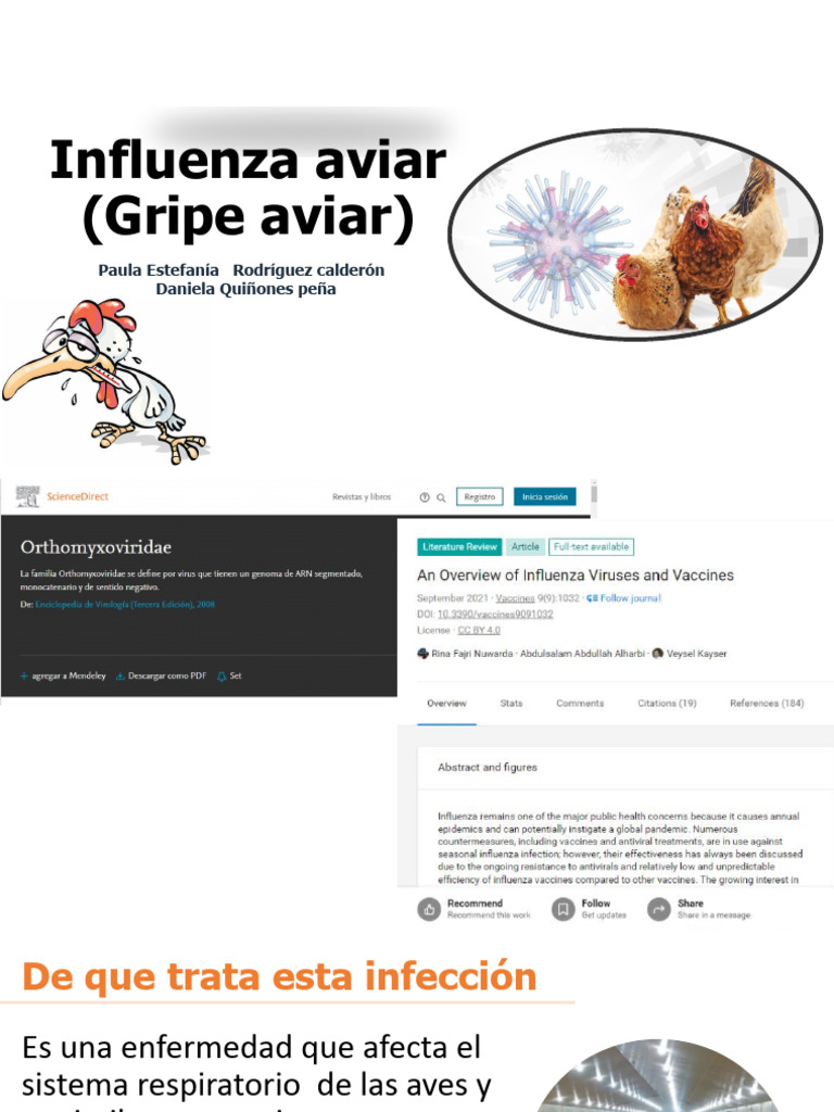 Influenza Aviar Final | PDF | Influenza | Influenza aviar