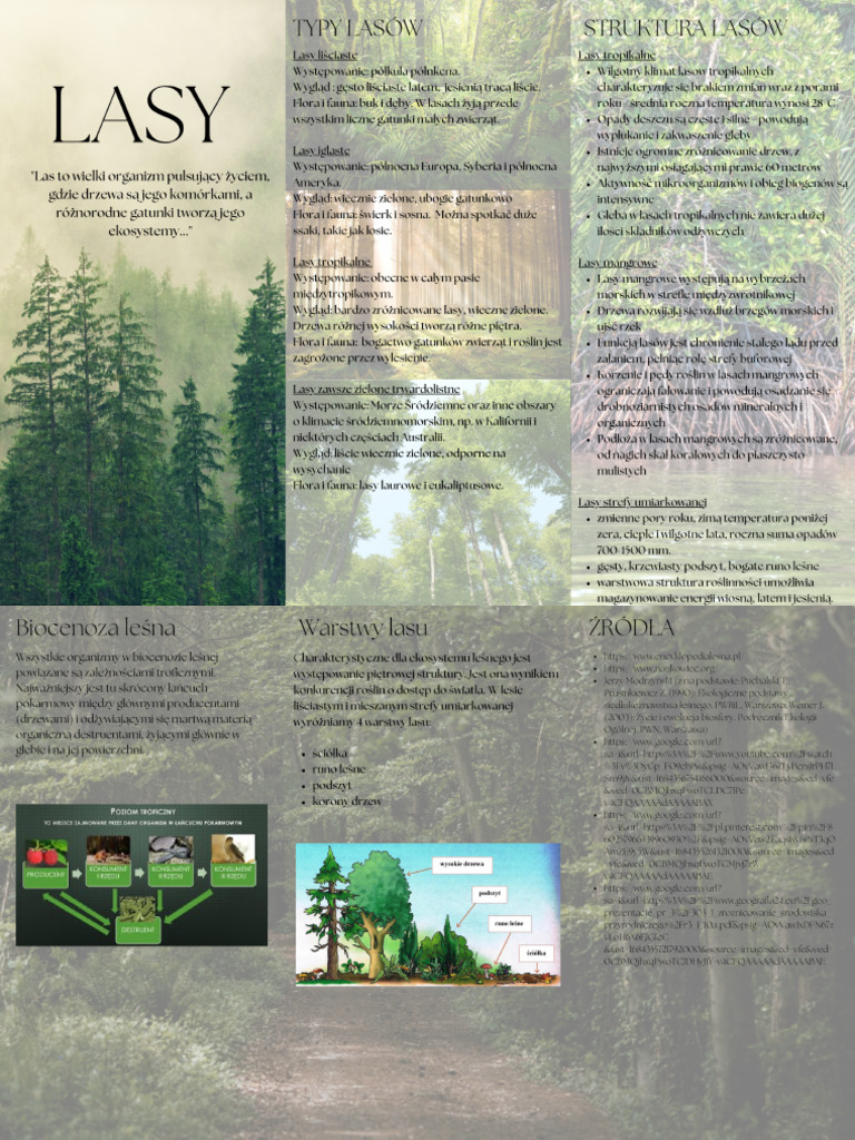 LASY | PDF
