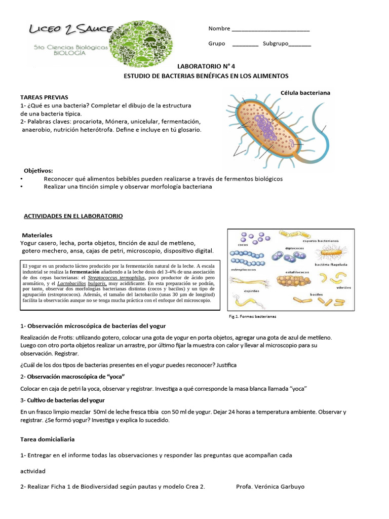 Laboratorio 4 - Bacterias 2023 | PDF | Las bacterias | Yogur