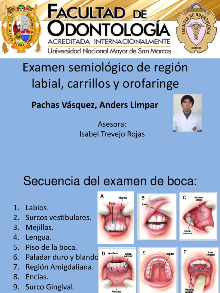 Semiologia de Region Labial Carrillos y Orofaringe | PDF | Labio ...