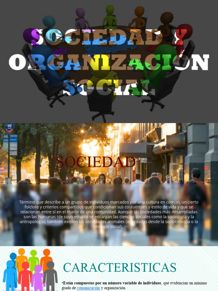 Organización y funciones de la sociedad | PDF
