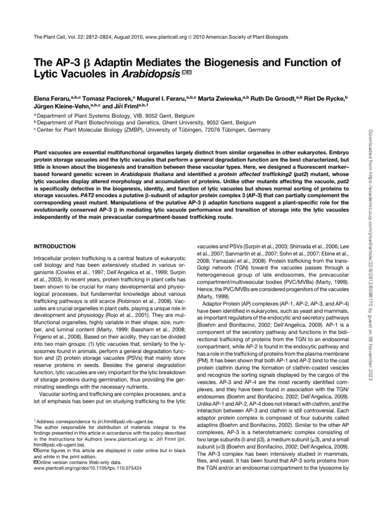 The AP-3 B Adaptin Mediates The Biogenesis and Function of Lytic ...