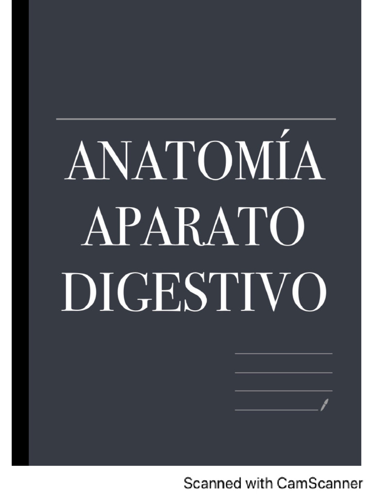 Anatomía Aparato Digestivo | PDF
