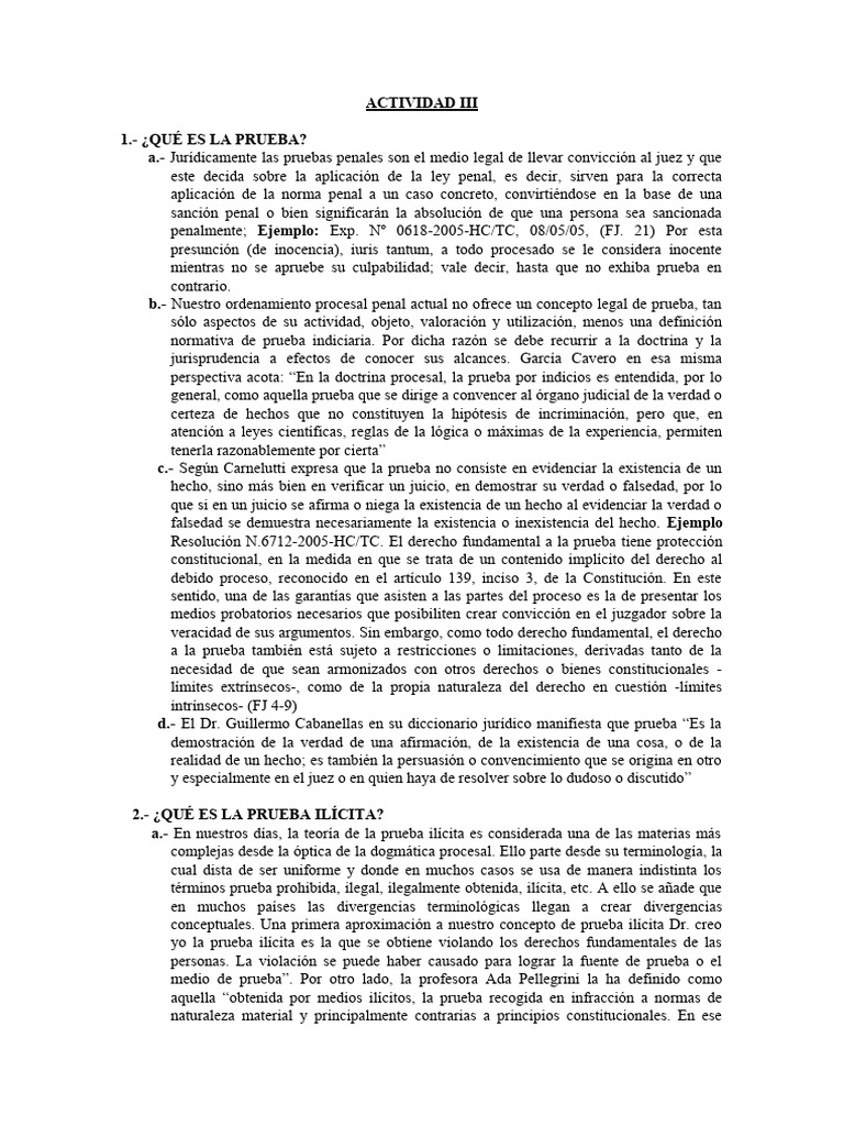 Actividad Iii | PDF
