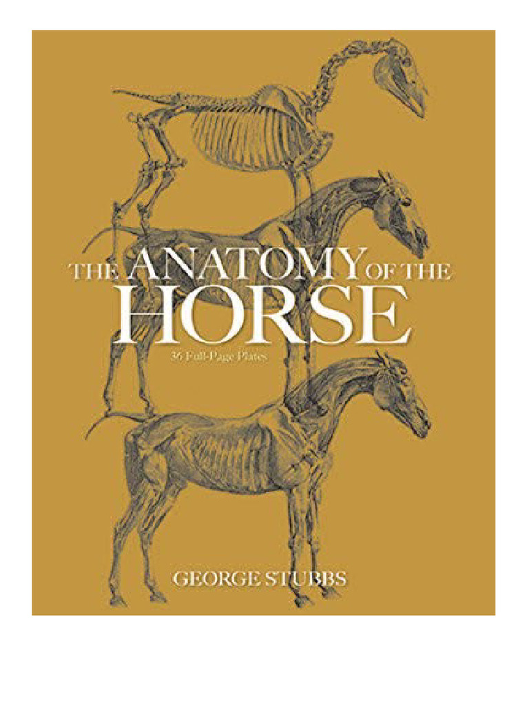 Anatomy of The Horse - Cover | PDF