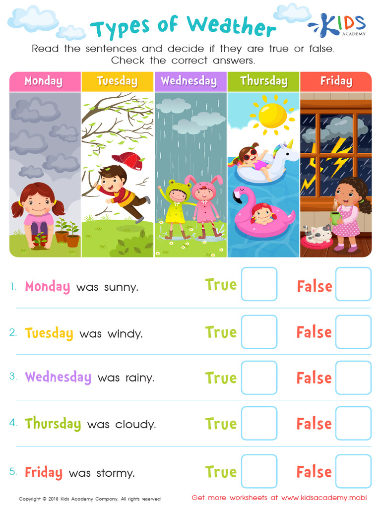 Types of Weather Worksheet | PDF
