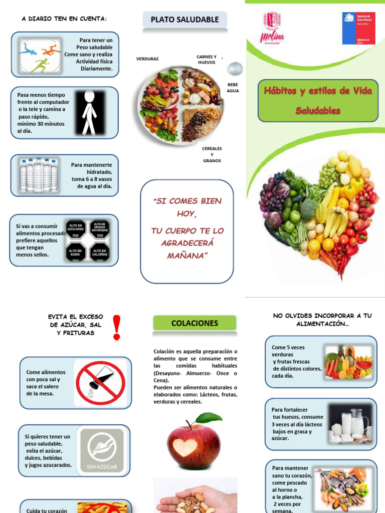 Triptico Saludable PDF | PDF