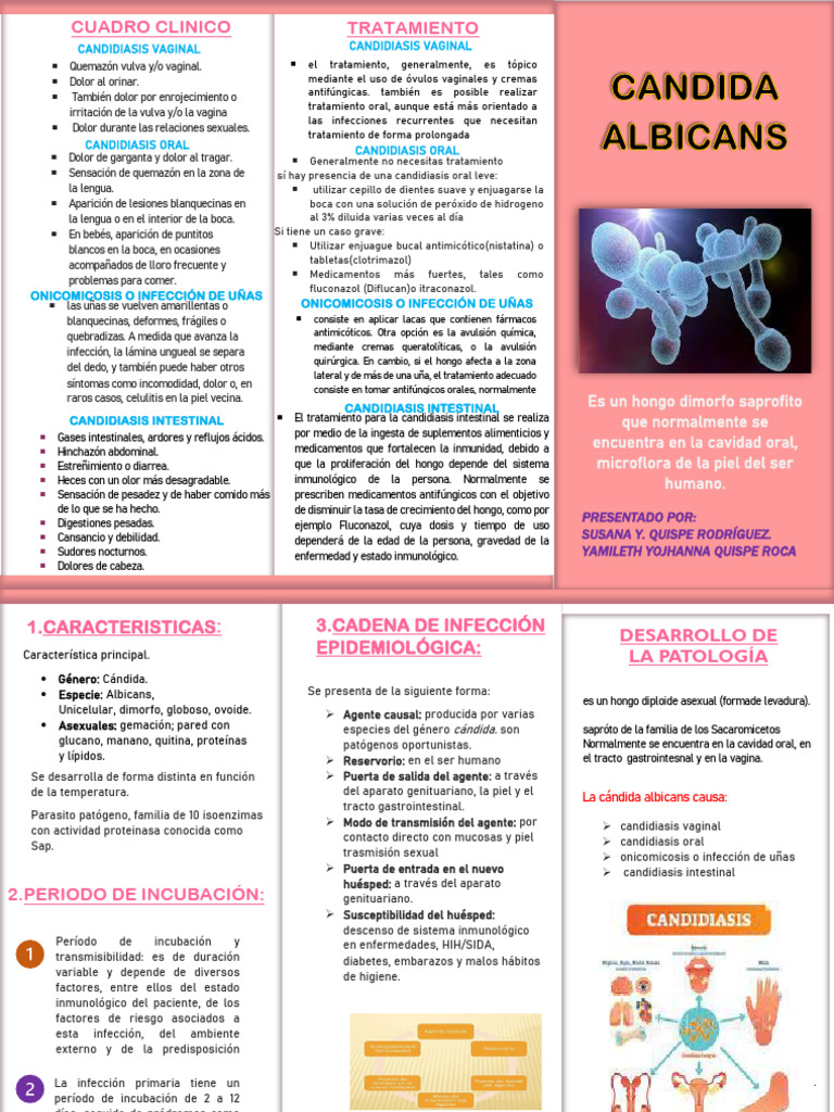 Candida Albicans Grupo-18 | PDF | Candidiasis | Inmunología
