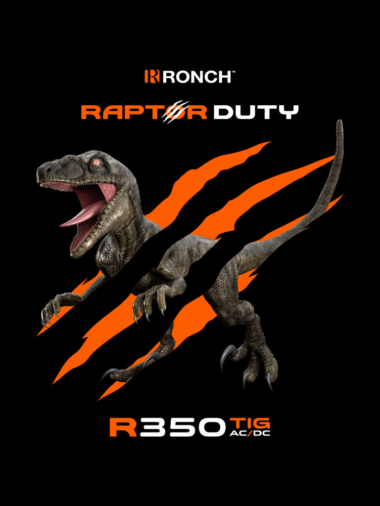 Ronch Raptor Duty R350TIG AC-DC-FICHA TECNICA | PDF
