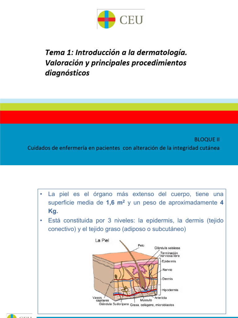 ECI - Bloque II - Tema 1 Introducción | PDF