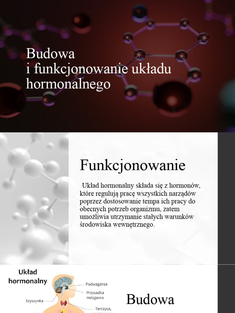 Układ Hormonalny - Kopia | PDF