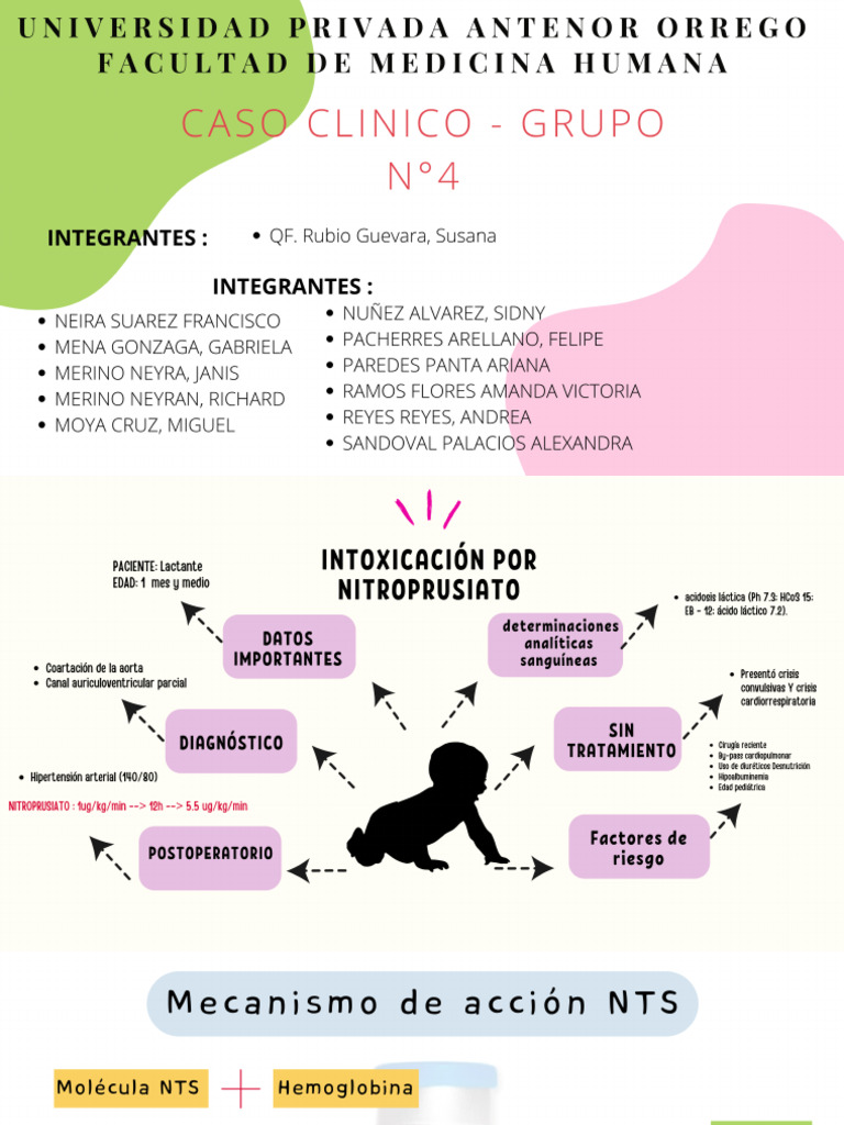 Principales Rams | PDF