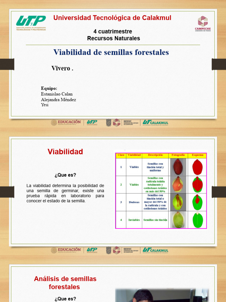 Viabilidad de La Semilla | PDF