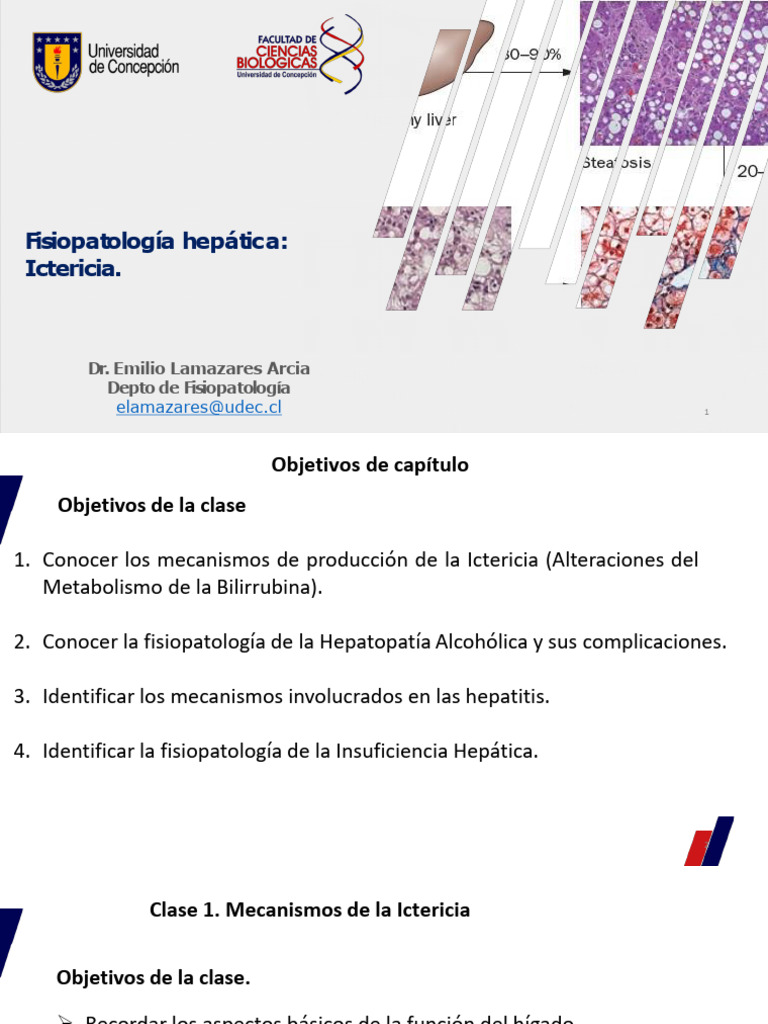 Fisiopatología de la Ictericia Hepática | PDF