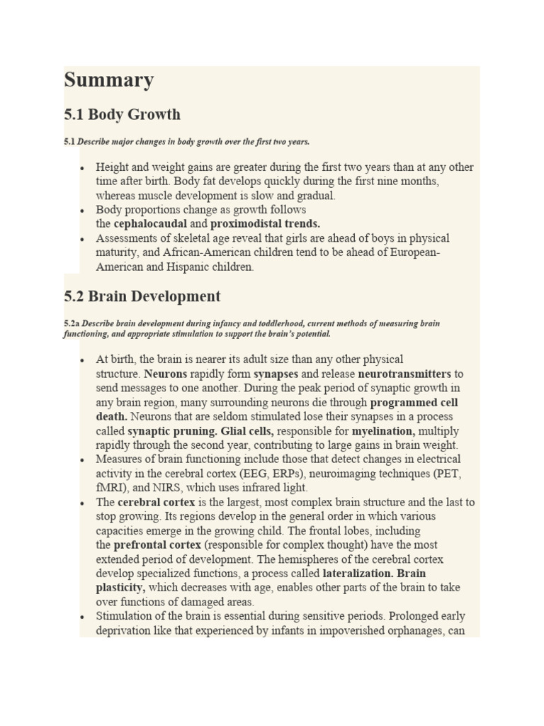 Chapter 5 Summary | PDF | Perception | Brain
