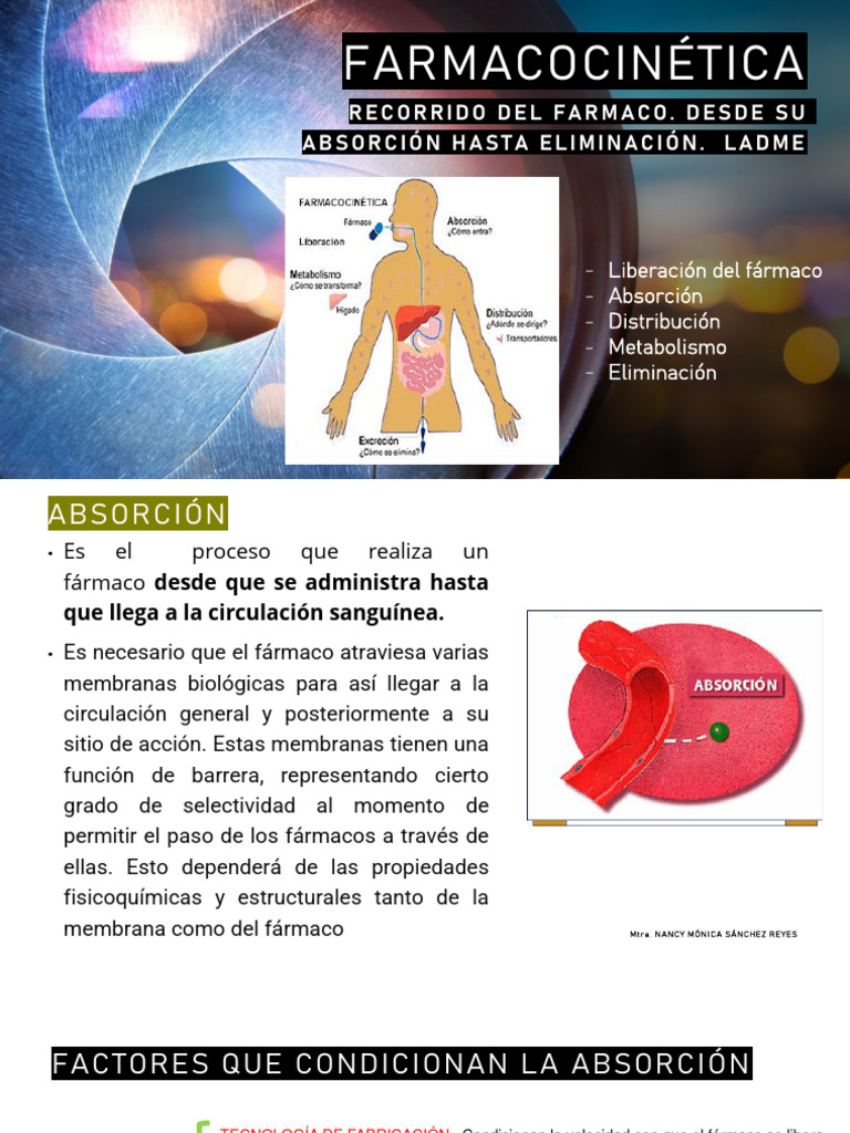 Semana 2. tema 3. Farmacocinética, LADME | PDF | Medicamentos con ...