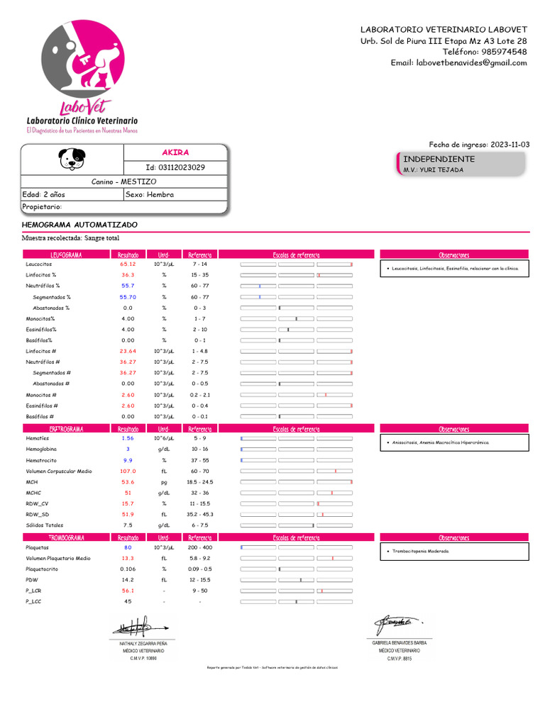 Hemograma AKIRA Perro 2023-11-03 | PDF | Fisiologia Animal | Hematología