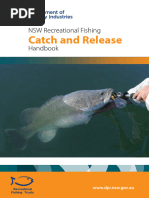 Official Fisch Value List | PDF