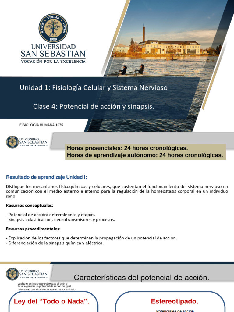 Unidad 1 - Clase 4 Sinapsis y Potencial de Acción DBIO1075 202320 | PDF ... Unidad 1 - Clase 4 Sinapsis y Potencial de Acción DBIO1075 202320 | PDF ...