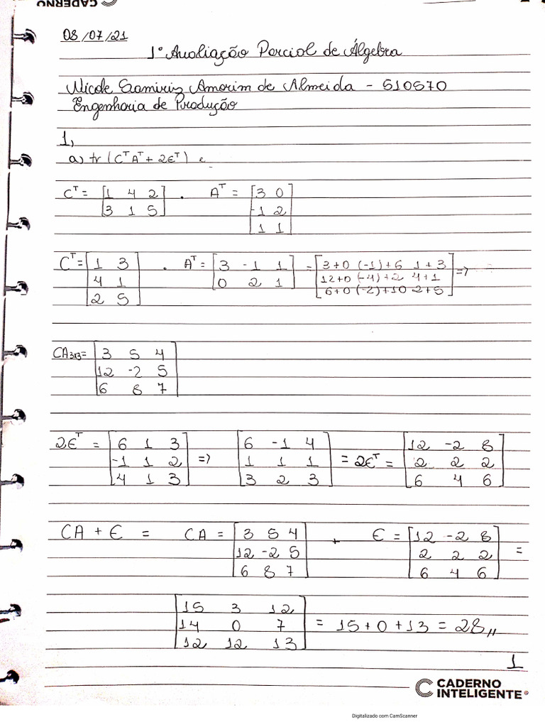 1 Prova Parcial de Álgebra Linear | PDF