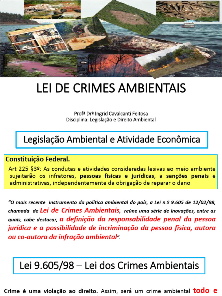 Aula 5 - LEI DE CRIMES AMBIENTAIS | PDF | Crimes | Crime e Violência