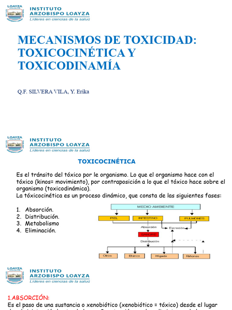 Mecanismos de Toxicidad | PDF | Digestión | Toxicidad