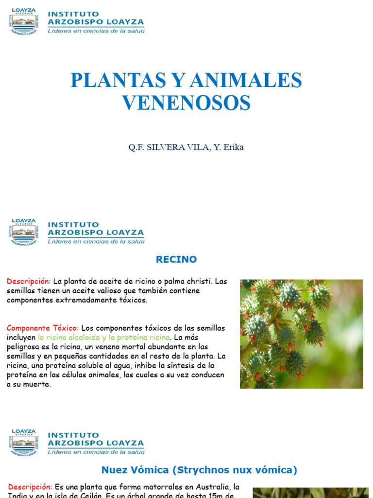 Plantas y Animales Venenosos | PDF | Veneno | Toxicología