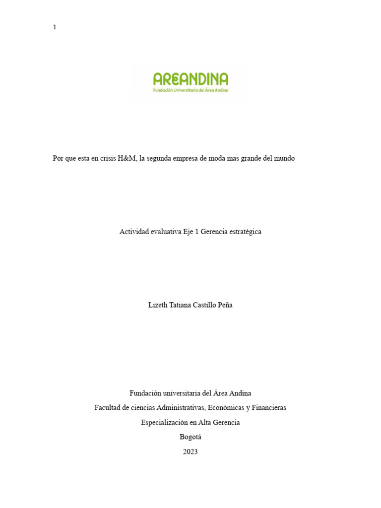 H&M | PDF | Business | H&M