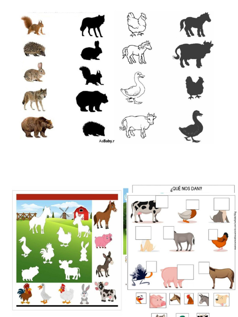 ANIMALES DOMESTICOS Y SALVAJES 1 | PDF