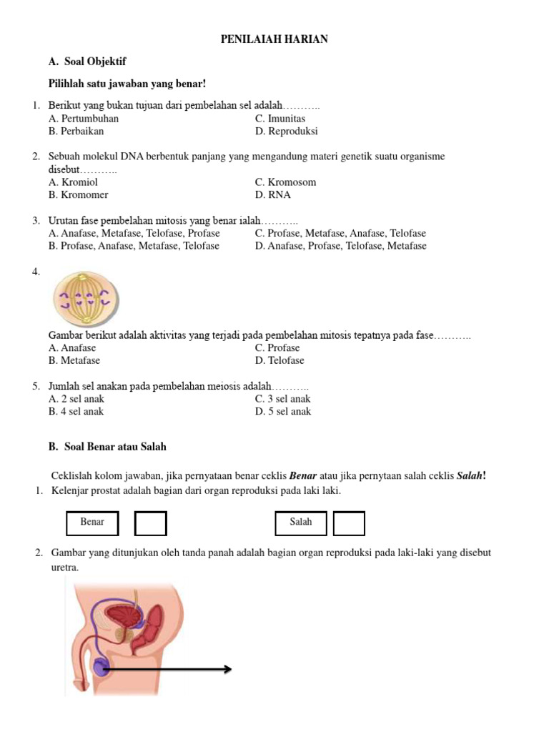 Soal PH Sistem Reproduksi Manusia OK | PDF