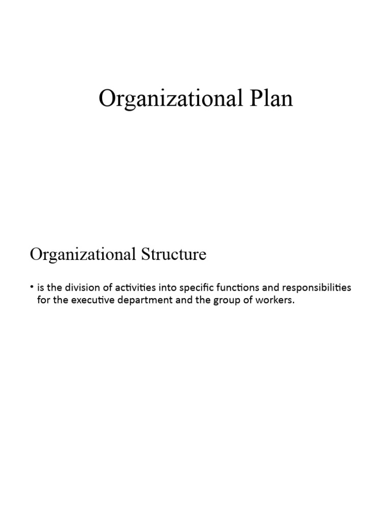 Organizational Plan | PDF | Expert | Business Economics
