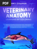 Veterinary Anatomy Coloring Book | PDF | Pelvis | Gastrointestinal Tract