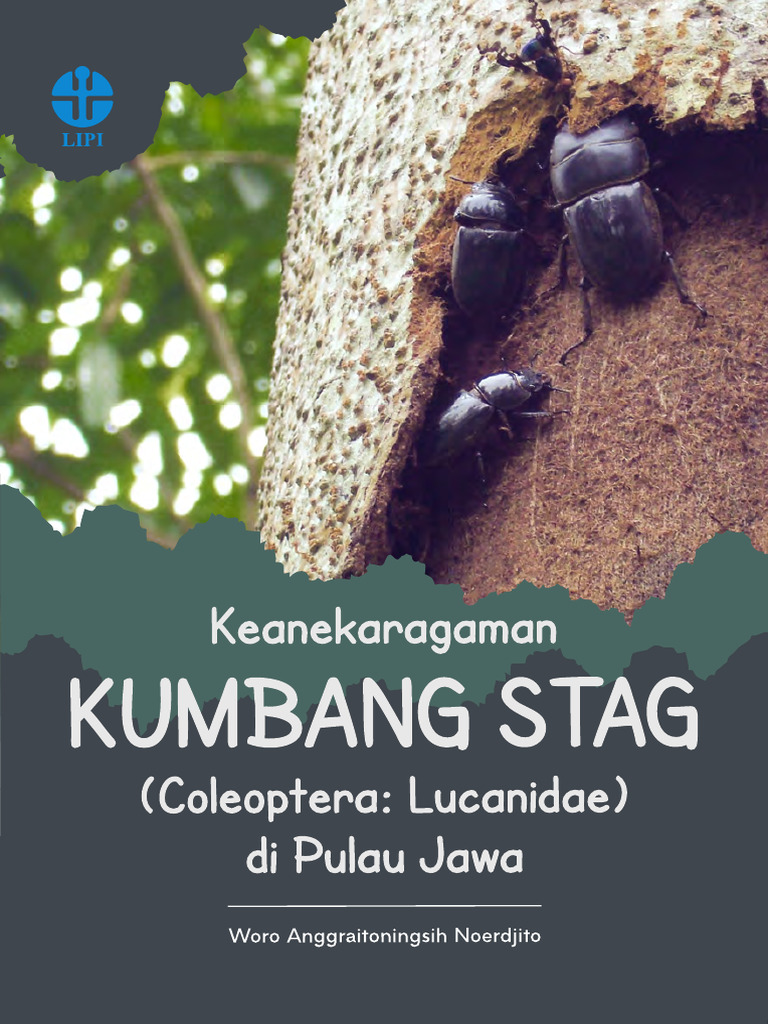 Keanekaragaman Kumbang Stag (Coleoptera Lucanidae) Di Pulau Jawa (Wowo ...