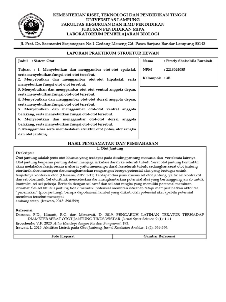 Laprak 5 Sistem Otot | PDF