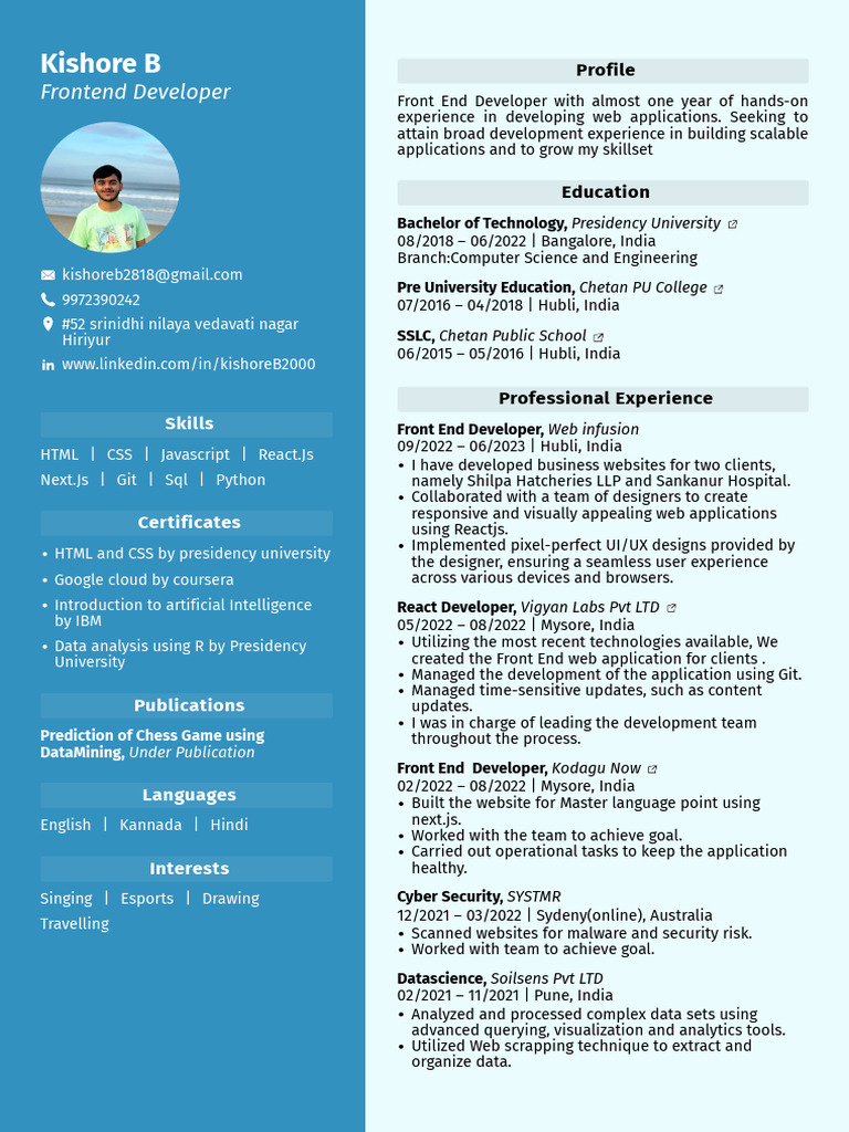 Front End Developer Profile Summary | PDF | World Wide Web | Internet & Web