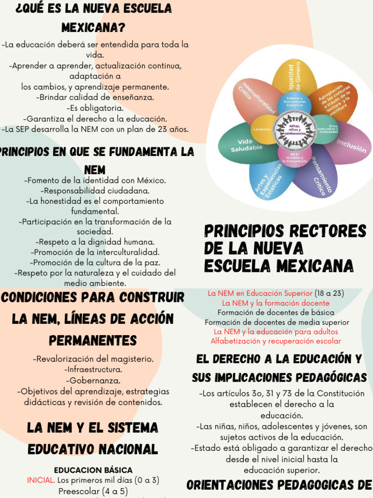 Diptico Principios Rectores de La Nem | PDF | Educación de la primera infancia | Educación primaria