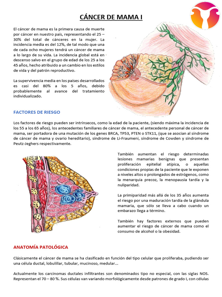 Ca de Mama I PDF | PDF | Cáncer de mama | Cáncer