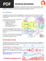 Anatomía de La Región Inguinal | PDF | Abdomen | Sistema musculoesquelético