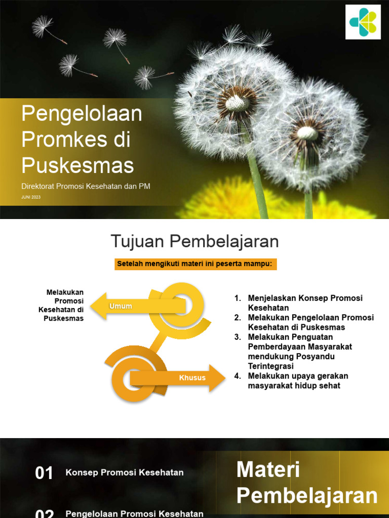 V11 - Pengelolaan Promkes 2023 | PDF | Pengembangan Diri | Kesehatan Holistik