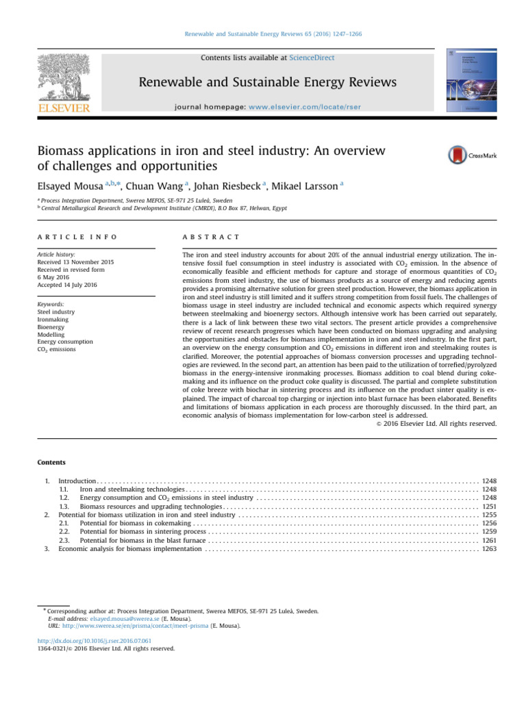 Biomass Applications in Iron and Steel I | PDF | Steelmaking | Biofuel